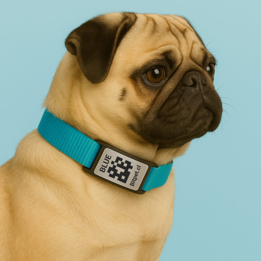 Placa para perro Silenciosa Inteligente QR Personalizada - Bitpet